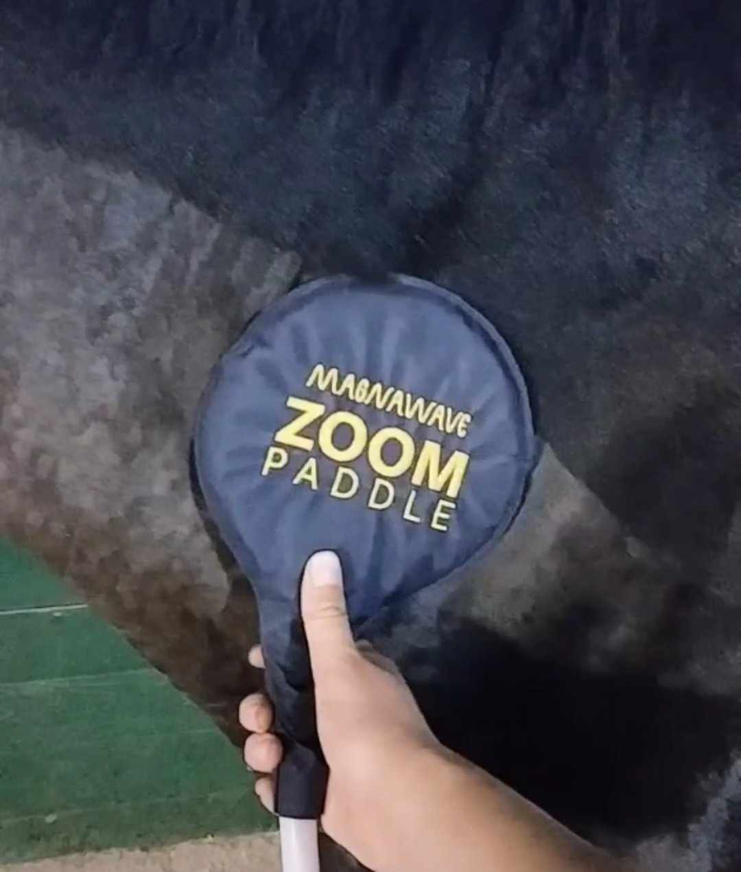 Why PEMF Intensity Matters for Better Health | Sheri Spencer, CEMT PTS